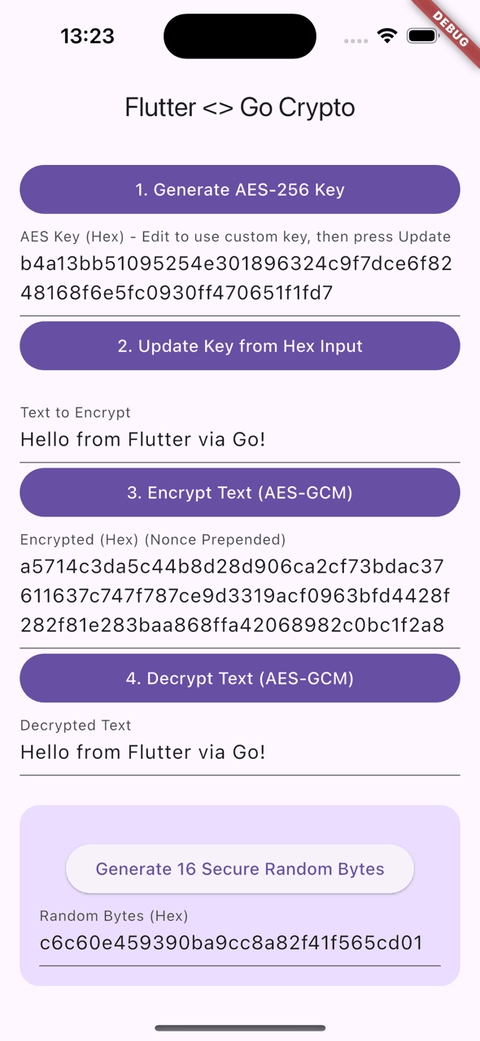 Supercharging Flutter Apps with Go | Zoran Juric